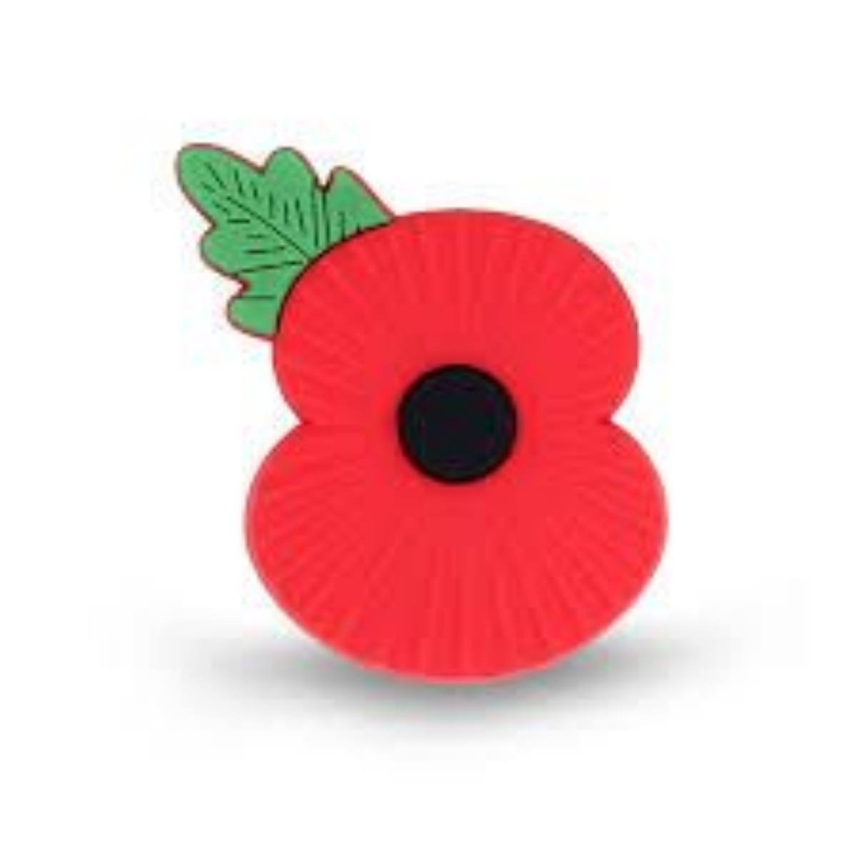 Crawley Ridge Infant School - Poppy Appeal